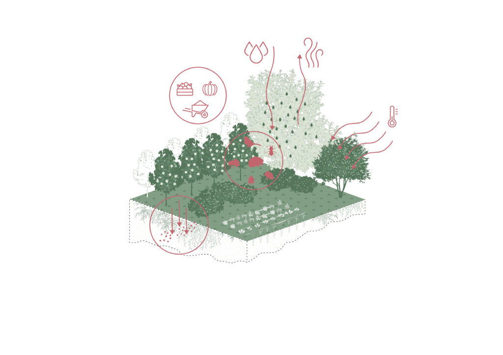 Lilleakerbyen Planteveileder - Grindaker