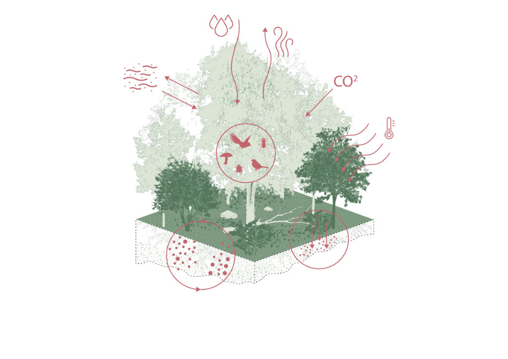 Lilleakerbyen Planteveileder - Grindaker