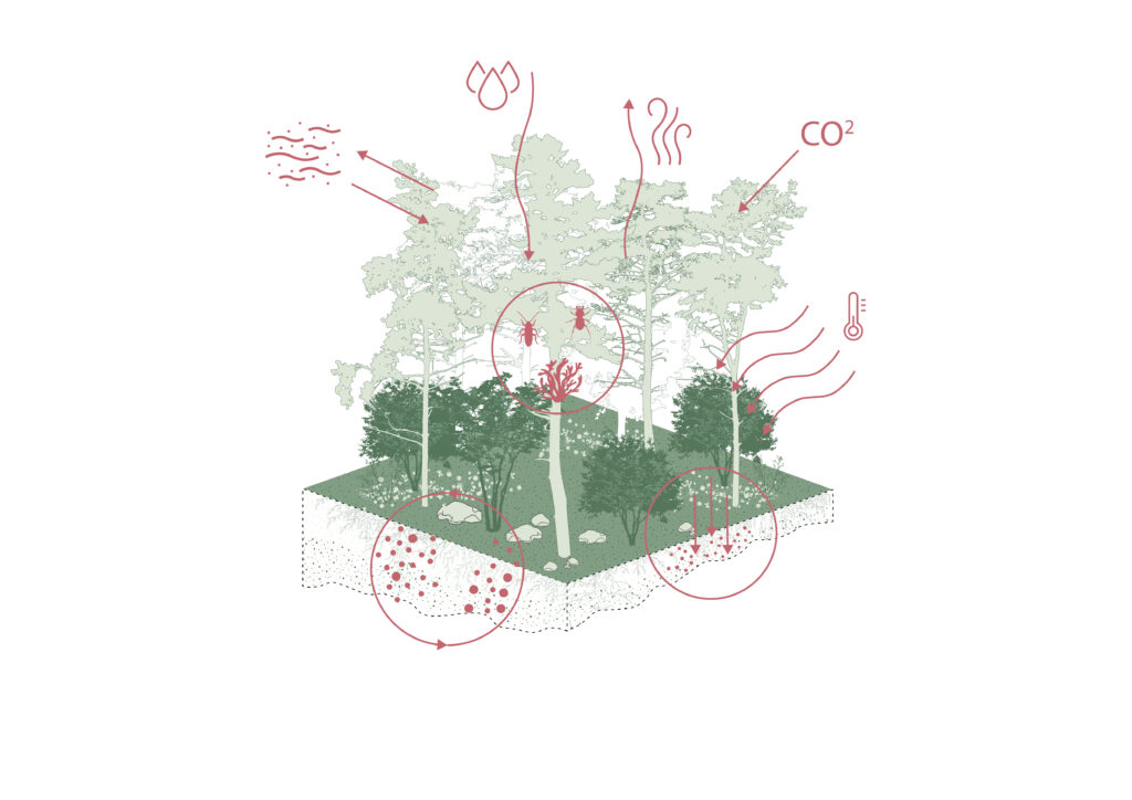 Lilleakerbyen Planteveileder - Grindaker